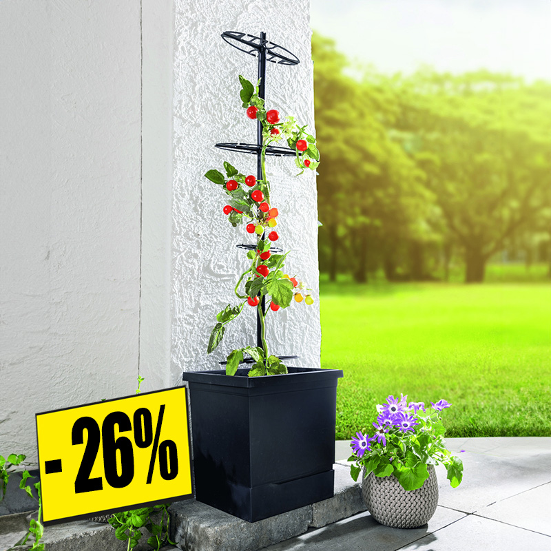 Pot pour plantes - Norma - France - Archive des offres promotionnelles